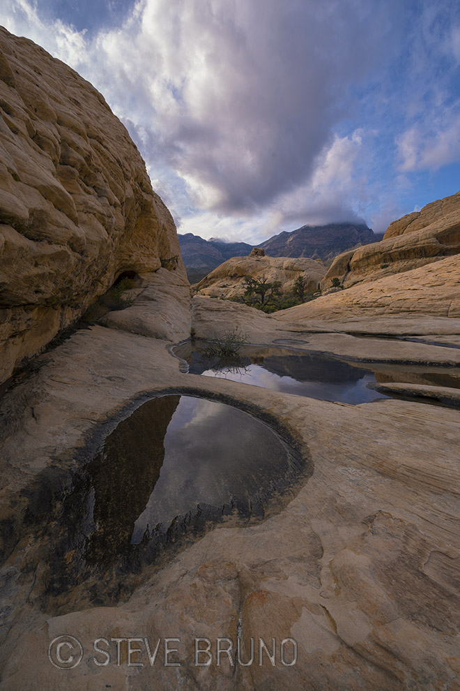 Liquid – Steve Bruno Photo