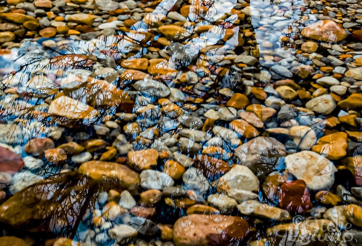 A New Favorite – Steve Bruno Photo